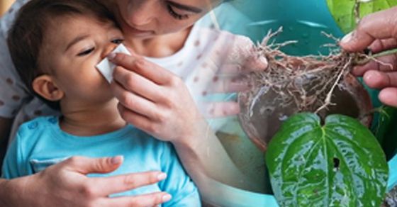 Severe Cough In Kids Home Remedies: Baccho Ka Balgam Kaise Nikale - BoldSky