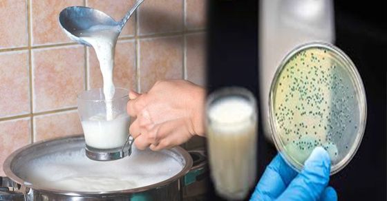 Can You Boil Milk Twice: Baar Baar Dudh Ubalne Se Kya Hota Hai, Reheat ...