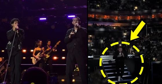 Nick Jonas Ran Off The Stage During Live Concert, When Laser Light Fell ...