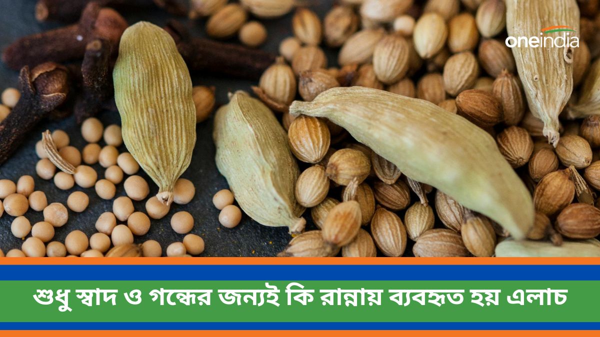 শুধু স্বাদ ও গন্ধের জন্যই কি রান্নায় ব্যবহৃত হয় এলাচ, নাকি রয়েছে আরও ...