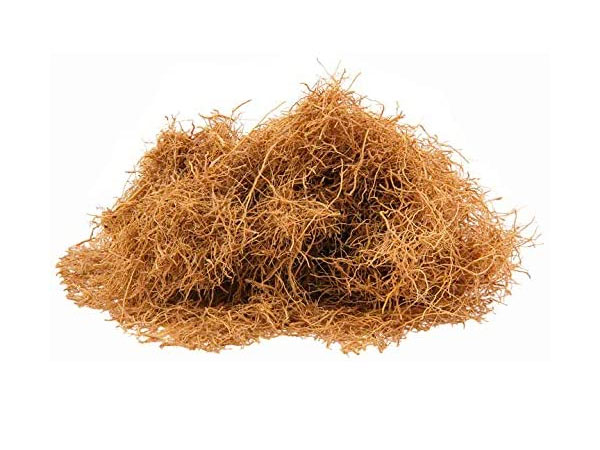 Khus root Water benefits: खस की जड़ नहीं है क‍िसी जादुई औषधि से कम, इन ...