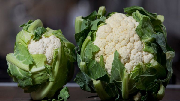 पत्ता गोभी हो या फूल गोभी पकाने से पहले बस करें ये दो काम, कोने-कोने ...