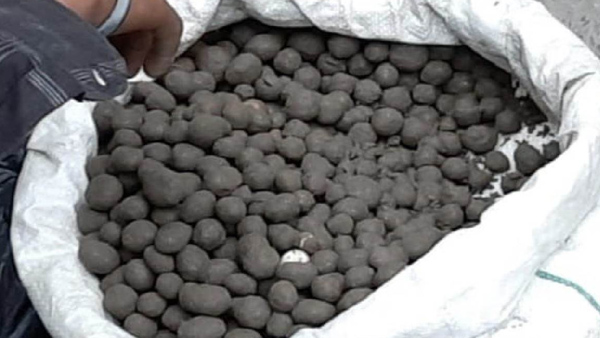 Katrua Vegetable: इस दुलर्भ जंगली सब्ज़ी को कहते हैं शाकाहारियों का मटन ...