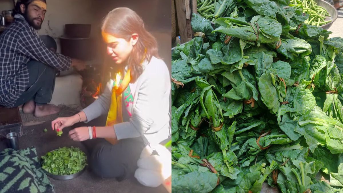 सारा अली खान ने केदारनाथ में खाया 'हाक साग', सर्दियों में जोड़ों के ...