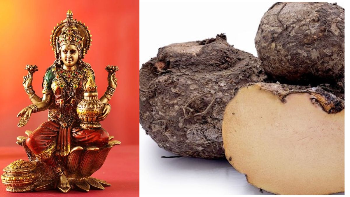 Diwali Ritual : दिवाली की रात क्यों बनाई जाती है जिमीकंद की सब्जी ...