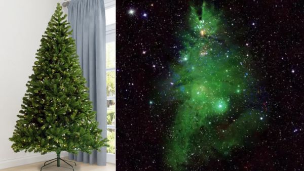 Christmas से पहले अंतरिक्ष में दिखा क्रिसमस ट्री का अनोखा नजारा, NASA ...