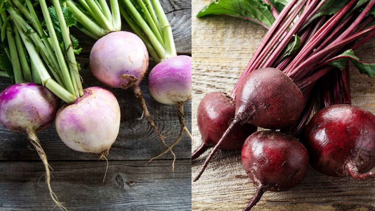 Shalgam vs Chukandar : एक जैसे द‍िखते हैं शलजम और चुकंदर, गुणों और स् ...
