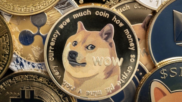 Kabosu Doge Death: नहीं रही Doge Meme वाला 'काबोसु' क्र‍िप्‍टो से लेकर ...
