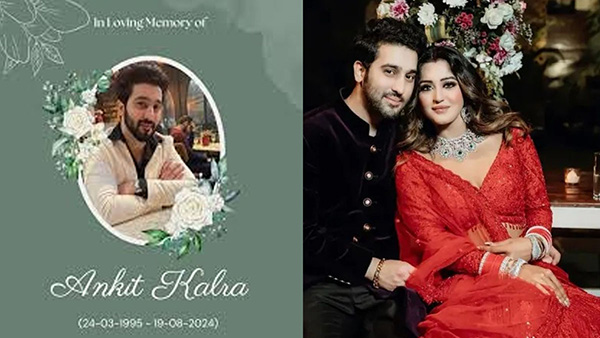 Ankit Kalra Died: नींद में ही 29 साल के इन्फ्लुएंसर की हुई मौत, दबे ...