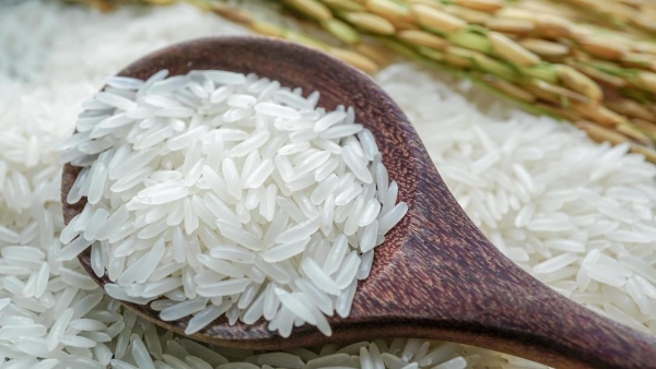 Fortified vs. Normal Rice : नॉर्मल चावल से क‍ितने अलग होते हैं ...
