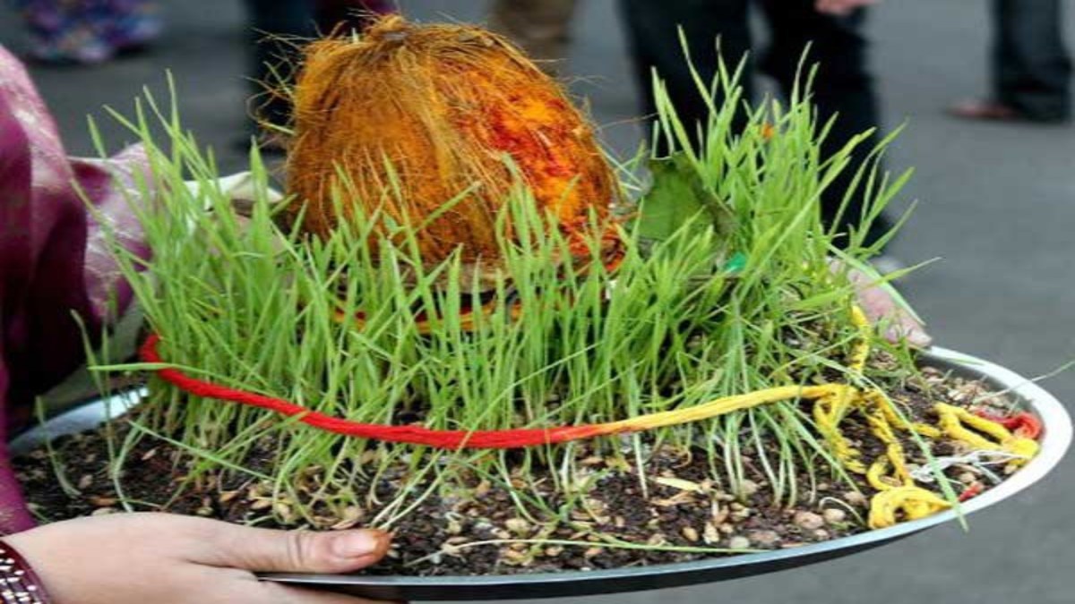 Navratri 2024: नवरात्रि के पहले दिन ही क्यों बोया जाता है जौ, जरूर ...