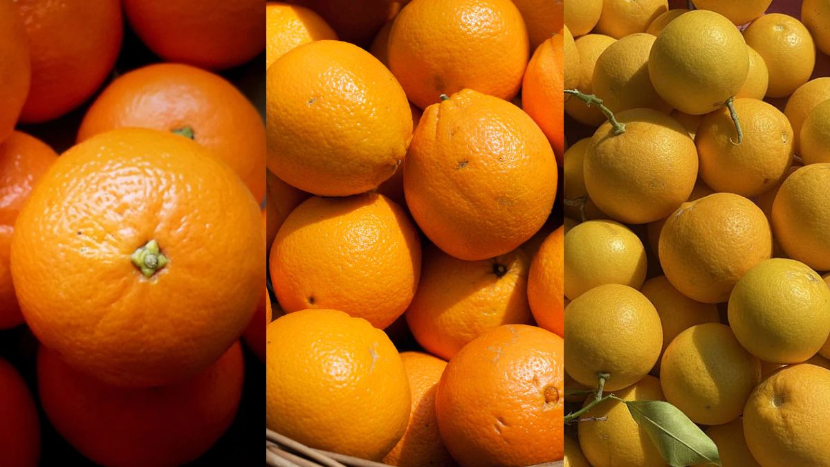 कहीं आप संतरे, कीनू और माल्‍टा को एक तो नहीं समझते हैं? यहां जान लें ...