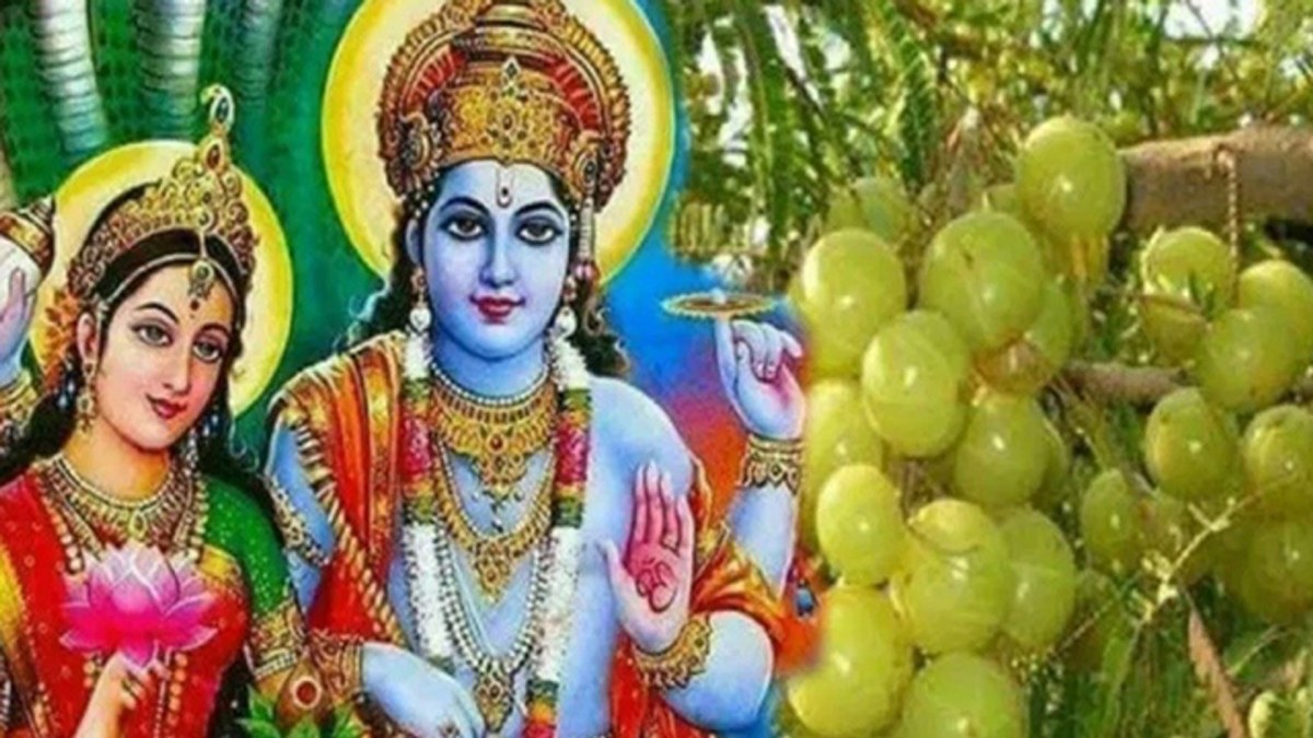 Happy Akshaya Navami 2024 Wishes: आंवला नवमी के पावन मौके पर प्रियजनों ...