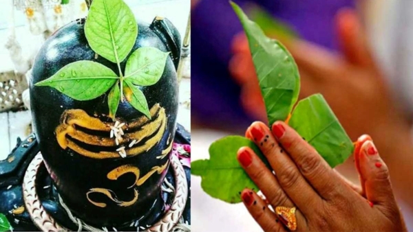 Mahashivratri 2025 : भगवान शिव को क्यों चढ़ाते हैं बेलपत्र, जानें इससे ...