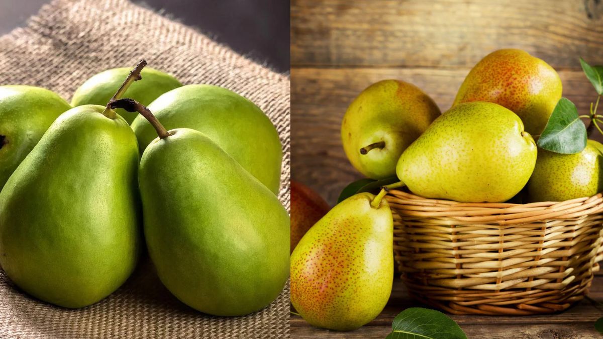 Babugosha vs Nashpati: नाशपाती समझकर बब्बूगोशा तो नहीं ले आए? खरीदते ...