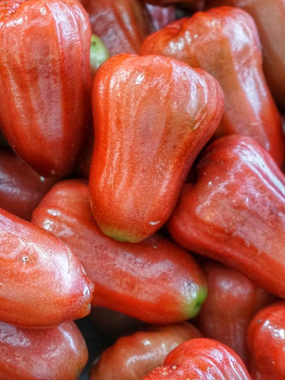 Amazing Health Benefits Of Rose Apple (Java Apple)