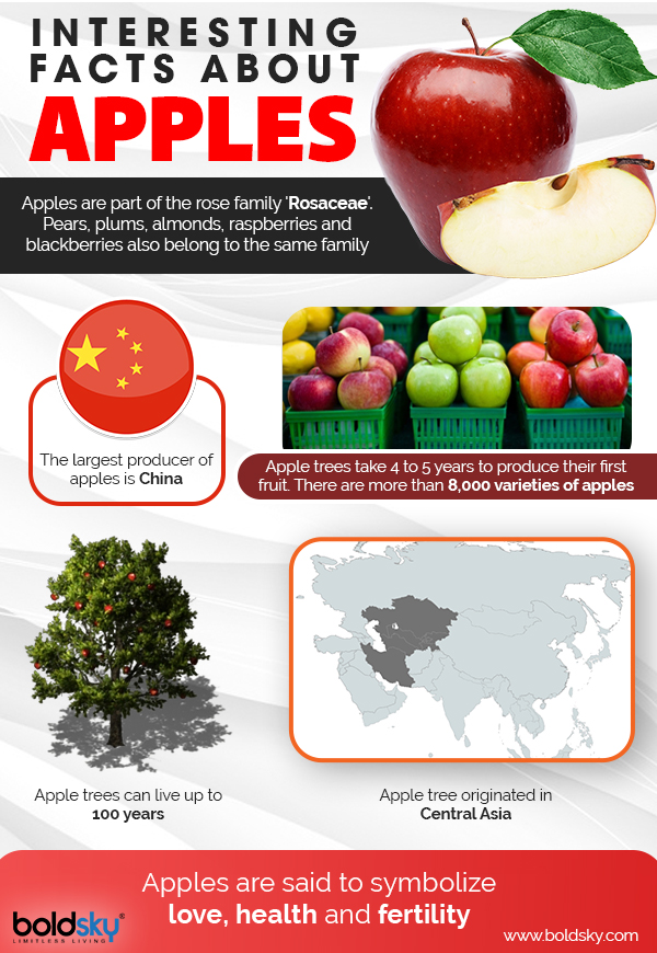 Apples: Health Benefits, Risks & Recipes - Boldsky.com