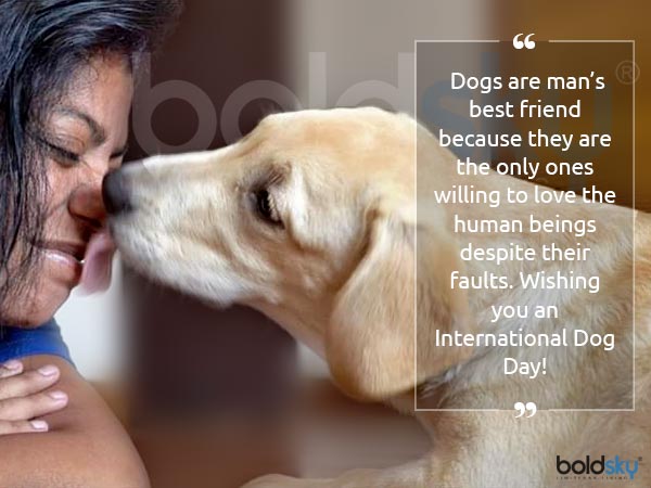 International Dog Day 2021: History And How To Celebrate This Day ...