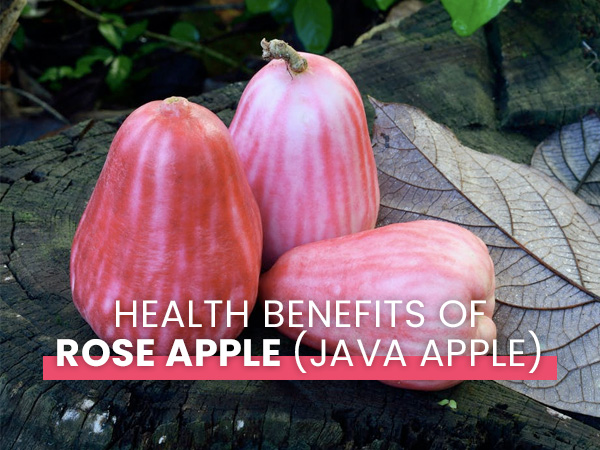 What Are The Amazing Health Benefits Of Rose Apple (Java Apple ...