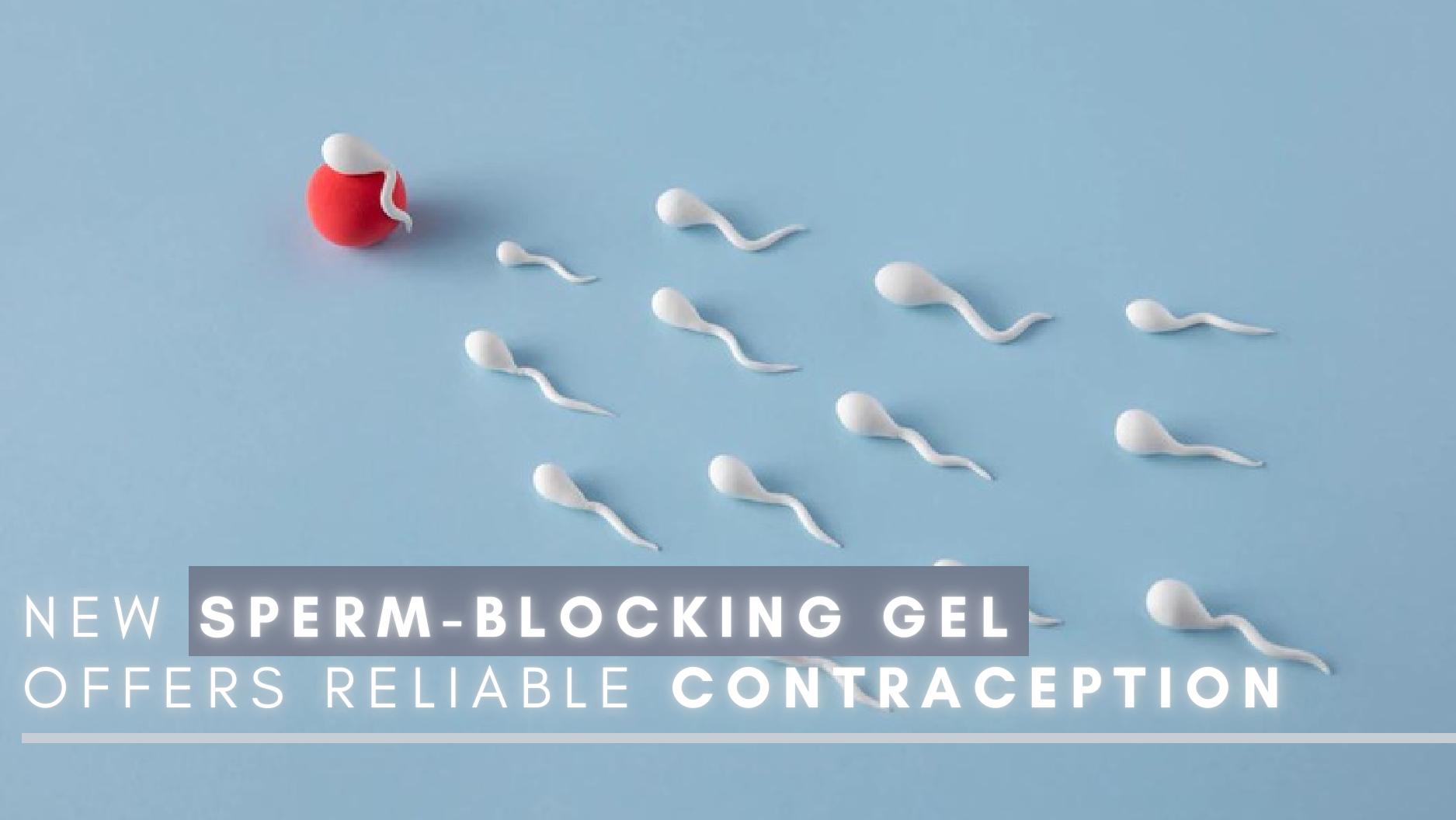 New Sperm-Blocking Gel Offers Reliable Contraception; An Alternative To Hormonal Birth Control ...