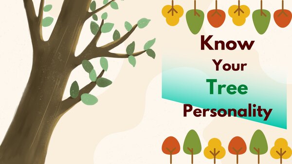 Know Your Tree Personality: Know About The Trees That Will Suit You ...