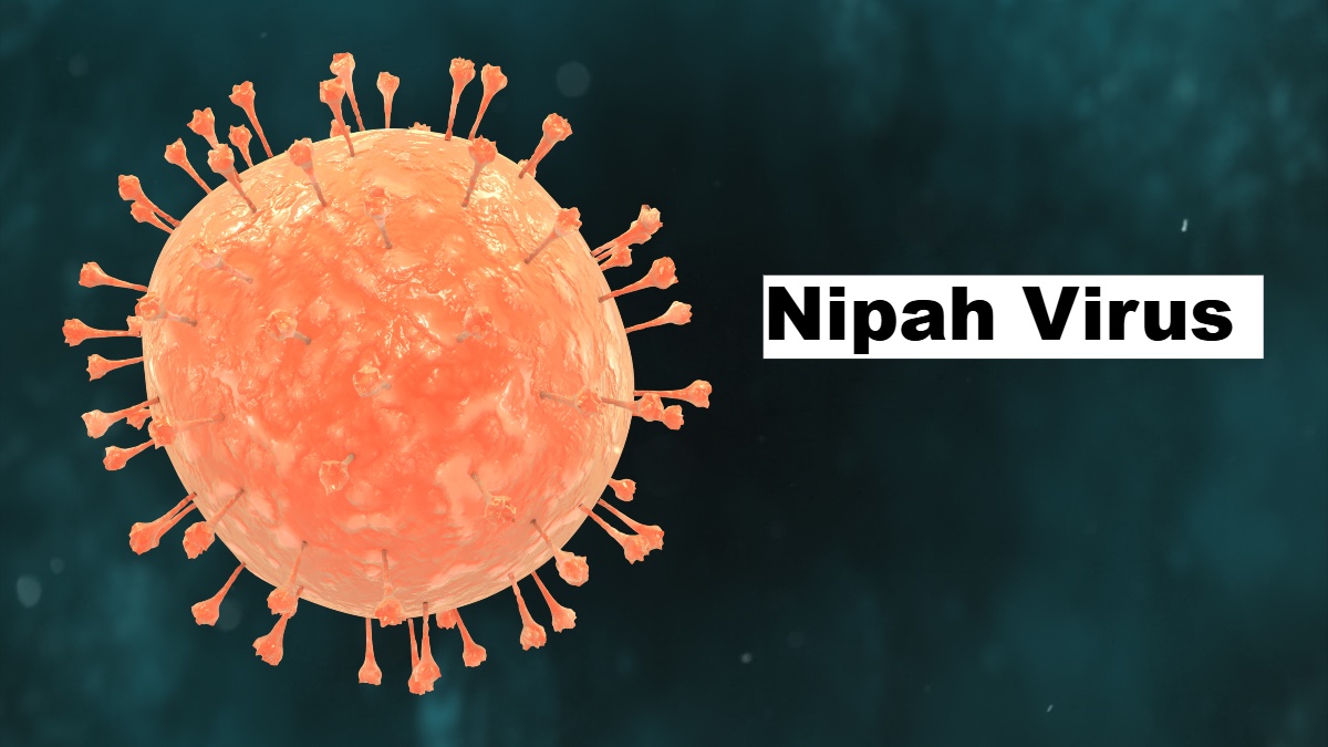 Nipah Virus Detected in West Bengal After 19 Years Health Authorities ...