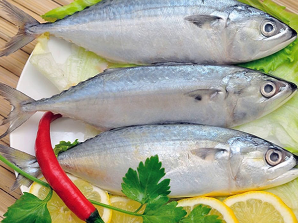 ಬಂಗುಡೆ ಮೀನು ಕೇವಲ ರುಚಿ ಮಾತ್ರವಲ್ಲ, ಆರೋಗ್ಯಕ್ಕೂ ಬಹಳ ಒಳ್ಳೆಯದು | Amazing ...