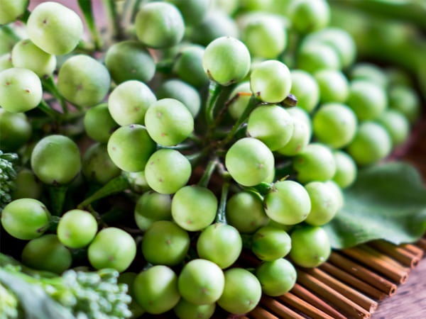 Health Benefits Of Sundekai Or Turkey Berry : ಟರ್ಕಿಬೆರ್ರಿ(ಸುಂಡೆಕಾಯಿ ...