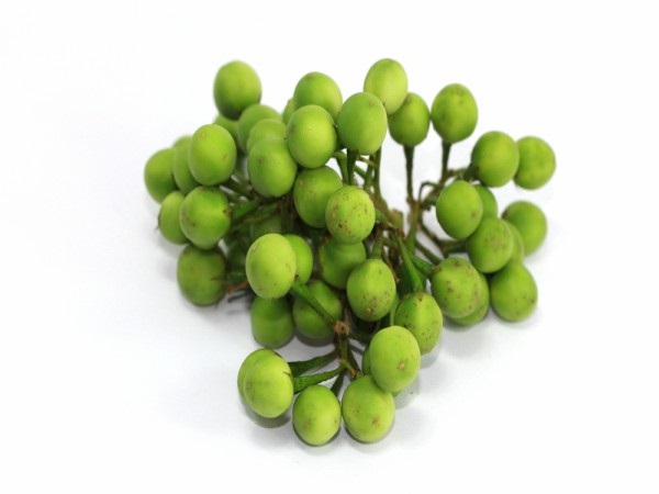 Health Benefits Of Sundekai Or Turkey Berry : ಟರ್ಕಿಬೆರ್ರಿ(ಸುಂಡೆಕಾಯಿ ...