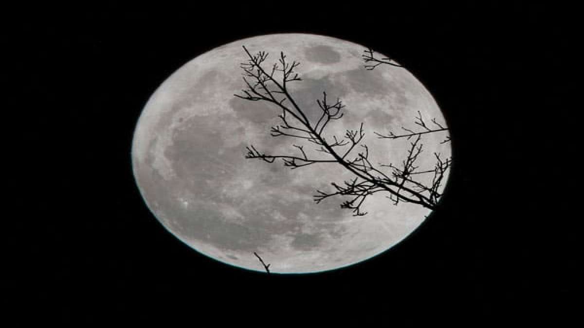 ಚಂದ್ರ ದೋಷವಿದೆಯೇ? ಲಾಲ್‌ ಕಿತಾಬ್‌ ಶಾಸ್ತ್ರದಲ್ಲಿ ಹೇಳಲಾಗಿರುವ ಈ ಪರಿಹಾರ ಮಾಡಿ ...