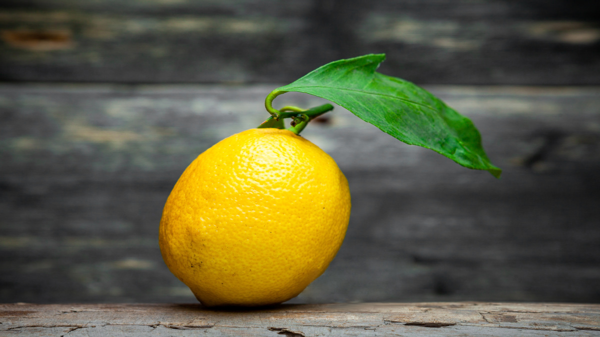 285 ವರ್ಷದ ಭಾರತದ ನಿಂಬೆ ₹1.5 ಲಕ್ಷಕ್ಕೆ ಹರಾಜು..!! | 285-Year-Old Lemon ...