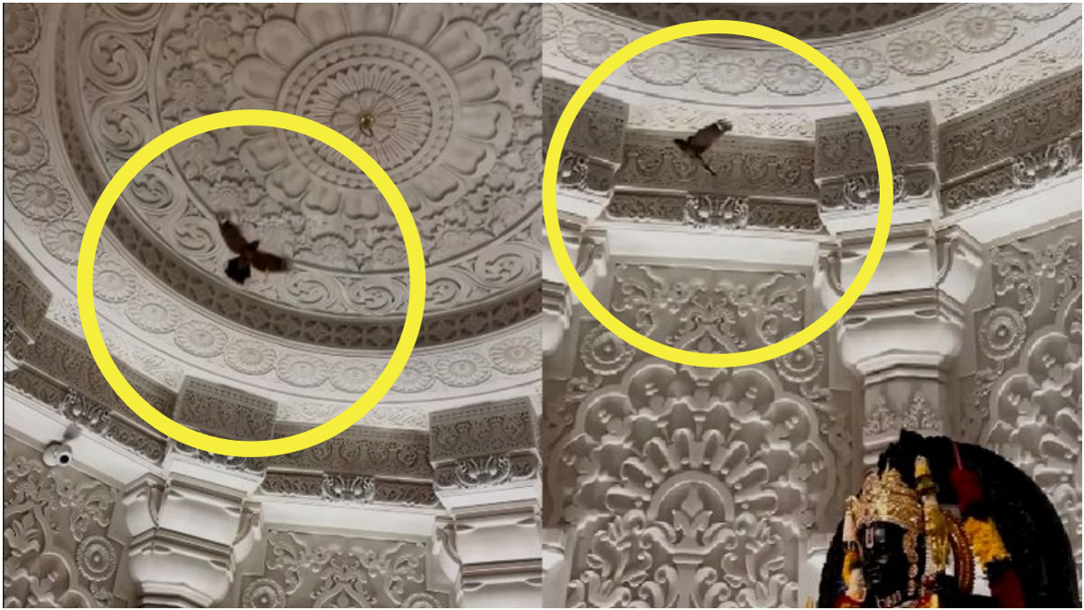 ಏನಿದು ವಿಚಿತ್ರ..! ರಾಮ ಲಲ್ಲಾನ ಗರ್ಭಗುಡಿಯೊಳಗೆ ಗರುಡ..! ವಿಡಿಯೋ ವೈರಲ್ | Garuda Inside The Sanctorum Of ...