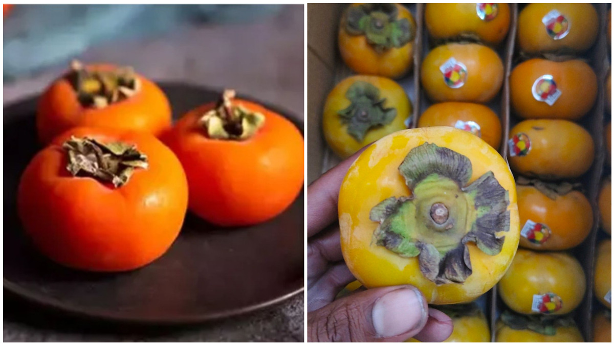 ಈ ಹಣ್ಣು ಯಾವುದು ಎಂದು ಗುರುತಿಸಬಲ್ಲಿರಾ.? ಇದರ ಆರೋಗ್ಯದ ಗುಟ್ಟು ನಿಮಗೆ ಗೊತ್ತಾ? | Health Benefits Of ...