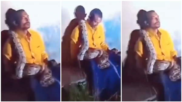 ಕಂಠಪೂರ್ತಿ ಕುಡಿದವನ ಕುತ್ತಿಗೆಗೆ ಸುತ್ತಿದ ಹೆಬ್ಬಾವು..! ವಿಡಿಯೋ ವೈರಲ್ | Python ...