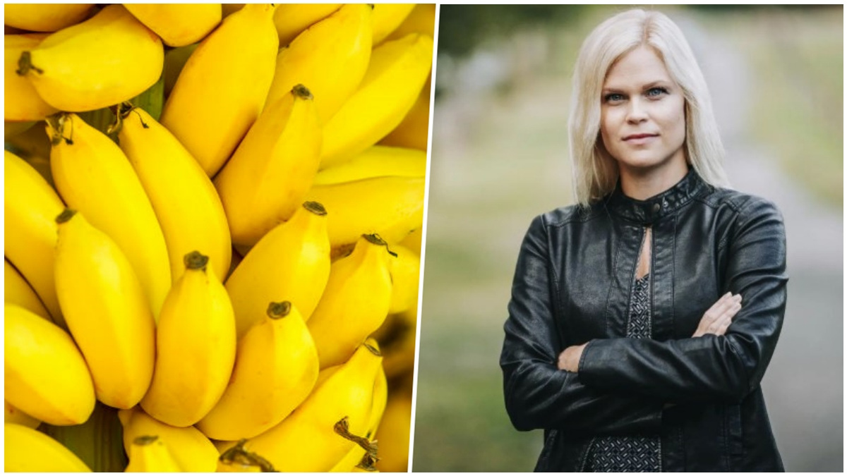 ಸಚಿವೆಗೆ ಬನಾನಾ ಫೋಬಿಯಾ..! ಆಕೆ ಇದ್ದಲ್ಲಿ ಬಾಳೆಹಣ್ಣು ನಿಷೇಧ ಆದೇಶ..! | Swedish ...