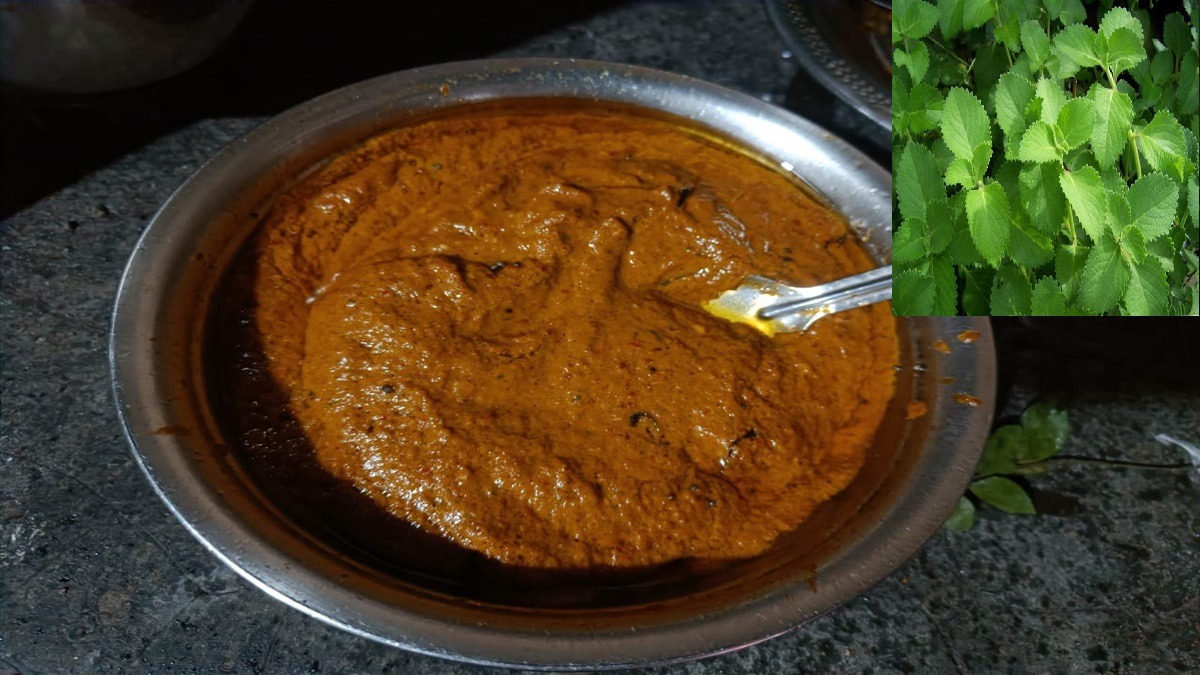 ದೊಡ್ಡಪತ್ರೆ ಚಟ್ನಿ ಹೀಗೆ ಮಾಡಿದರೆ ಸೂಪರ್‌ ಆಗಿರುತ್ತೆ, ಎಲೆಯ ವಾಸನೆಯೂ ಇರಲ್ಲ ...