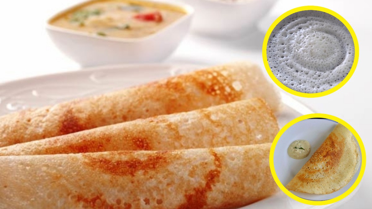 ಉದ್ದು ಬಳಸದೆ ಮಾಡಿ ಈ ಮೆಂತೆ ದೋಸೆ: ಎಷ್ಟು ಸುಲಭದ ರೆಸಿಪಿ ಗೊತ್ತಾ? | How To Make ...