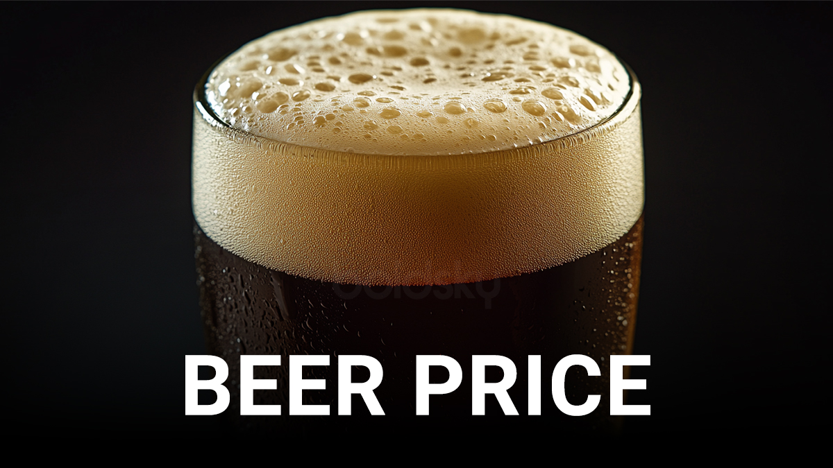 Bro Beer Price - Explore Bro 330 ml,375 ml,650 Bottles & Cans Online ...