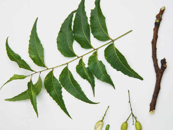ആര്യവേപ്പിന്റെ നീര് ഒരു സ്പൂണ്‍ എങ്കില്‍ | benefits of drinking neem ...