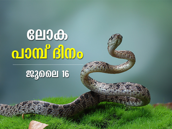ലോക പാമ്പ് ദിനം; പാമ്പുകളെക്കുറിച്ച് നിങ്ങള്‍ അറിഞ്ഞിരിക്കേണ്ട രസകരമായ ...