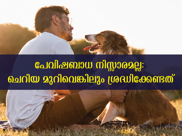 പേവിഷബാധ നിസ്സാരമാക്കല്ലേ: ലക്ഷണം, കാരണം, പ്രതിരോധം ഇങ്ങനെ | Rabies ...