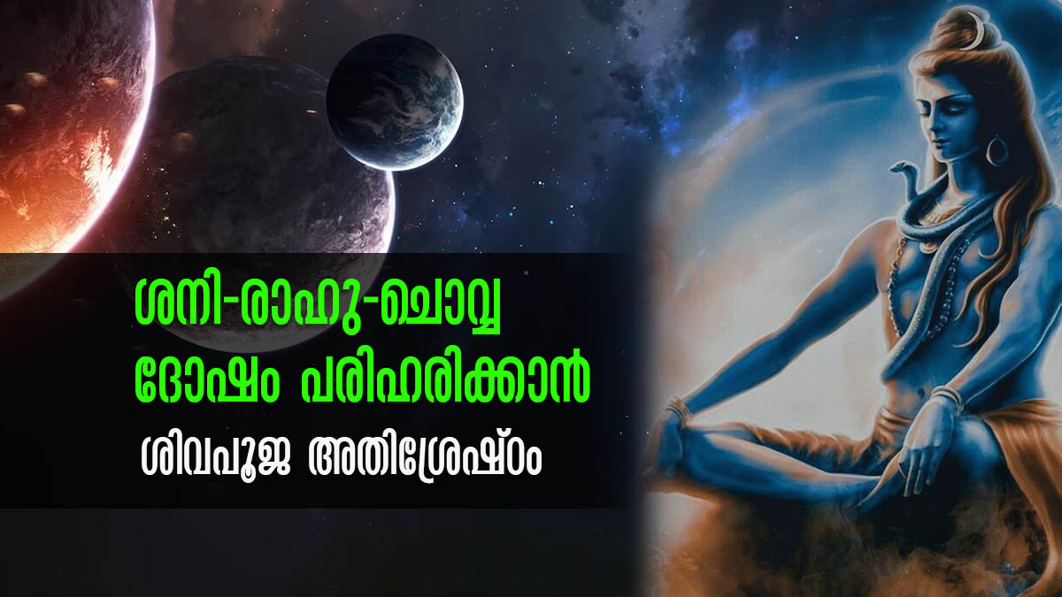 ഗ്രഹദോഷങ്ങള്‍ അകറ്റി ജീവിതം ധനധാന്യ സമൃദ്ധിയിലേക്ക്: ശിവരാത്രിയില് ...