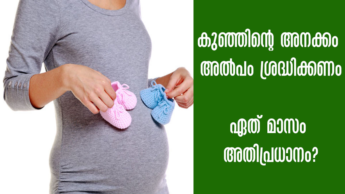 കുഞ്ഞിന്റെ അനക്കം പെട്ടെന്ന് കുറഞ്ഞോ? അതീവ ശ്രദ്ധ വേണ്ട മാസങ്ങള് ...