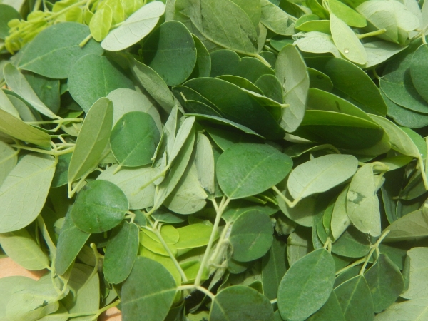 ഈ ചോറ് ഉണ്ണാന്‍ കറിയൊന്നും വേണ്ട, ഒറ്റ ഉരുളയില്‍ ഒരു കിണ്ണം ആരോഗ്യം ...