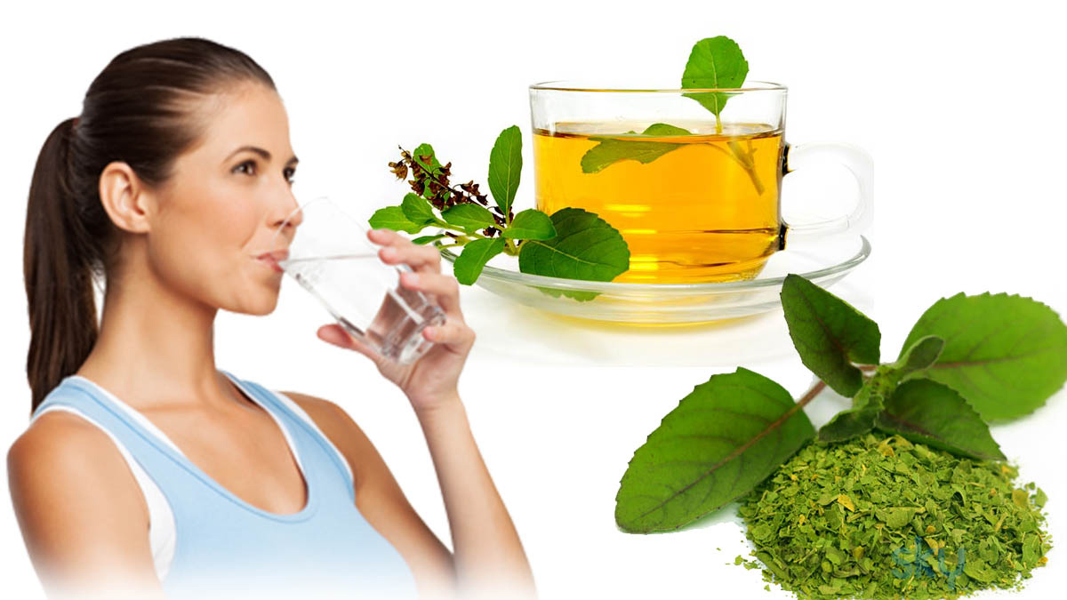 കൊളസ്‌ട്രോൾ കുറയാനും ബിപി കുറയാനും വെറും വയറ്റിൽ തുളസി വെള്ളം കുടിക്കാം | Benefits of Drinking ...