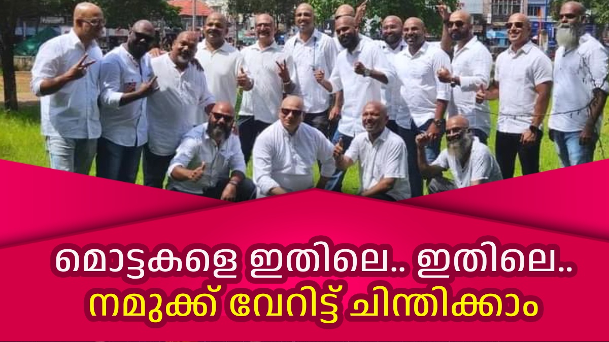 'മൊട്ട ഗ്ലോബല്‍'; തല മൊട്ടയടിച്ച ഫ്രീക്കന്മാര്‍ക്ക് സംഘടനയായി! ബോഡി ഷെയിമിങ്ങ് നടത്തുന്നവര്‍ ഇനി ...