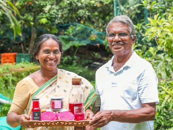 5 സെന്റില്‍ നിന്ന് 40,000 രൂപ! ഇത് ഡ്രാഗണ്‍ ഫ്രൂട്ടിന്റെ 'പവര്‍' അറിഞ്ഞ ...