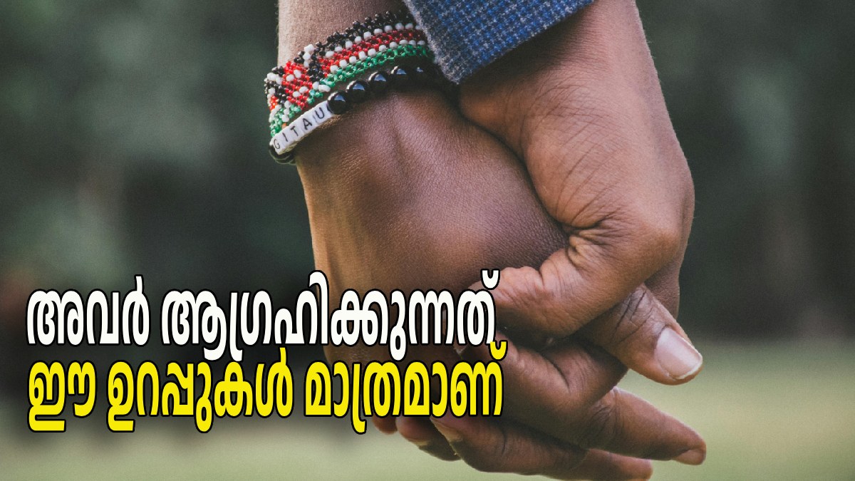 Promise Day: തകര്‍ച്ചയിലേക്ക് പോകുന്ന ബന്ധങ്ങളില്‍ ഈ ഉറപ്പാണ് നിങ്ങളുടെ ...