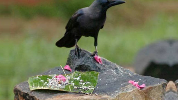 Karkidaka Vavu 2025: പിതൃക്കള്‍ നേരിട്ടനുഗ്രഹിക്കും 3 രാശിക്കാരെ കര്‍ക്കിടക വാവ് ദിനം ...