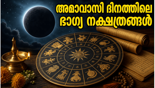 2026 ജൂൺ 14 നക്ഷത്രഫലം: അമാവാസി ദിനത്തിൽ ഭാഗ്യം തെളിയുന്നവർ ഇവർ, കരിയറി ...